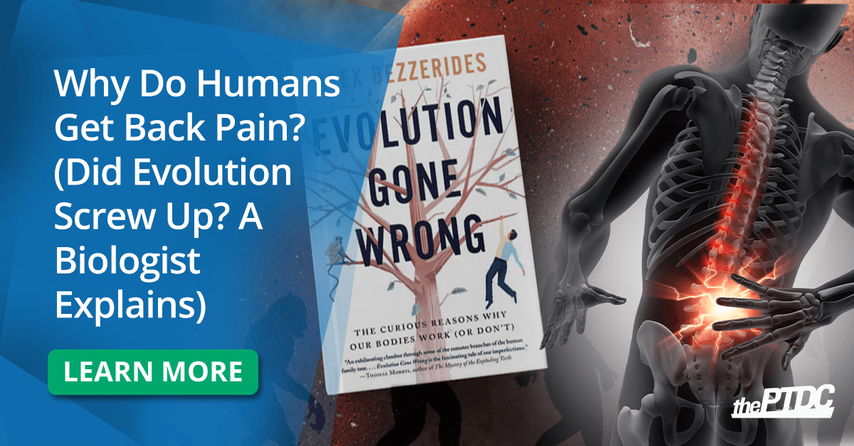 Why Do Humans Get Back Pain? (Did Evolution Screw Up?)